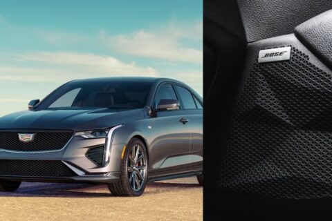 Top 13 Cars with Best Visibility for Short Drivers