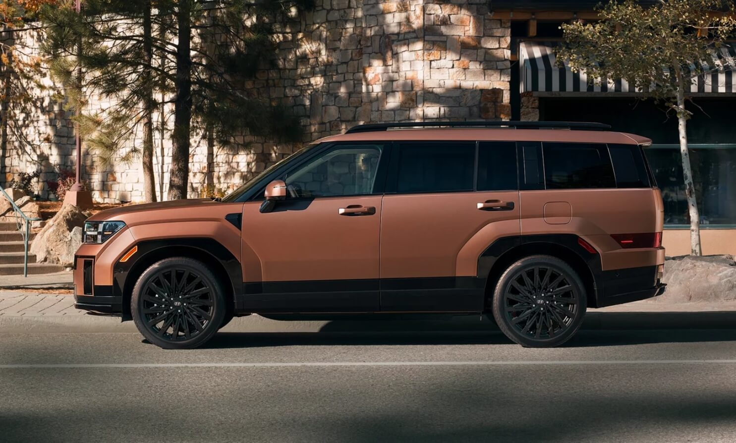 Top 13 Cars with Best Visibility for Short Drivers