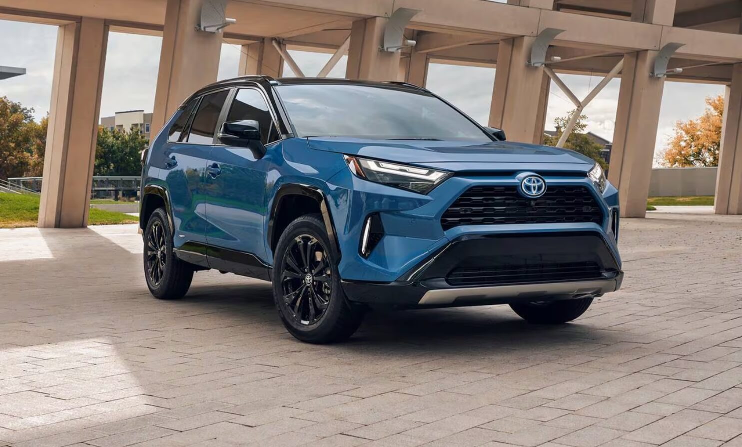 Top 13 Cars with Best Visibility for Short Drivers